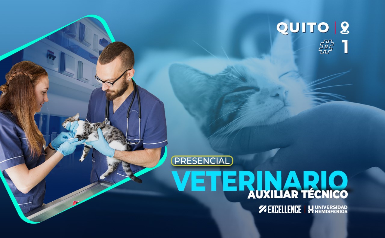 UHE: Todos los cursos